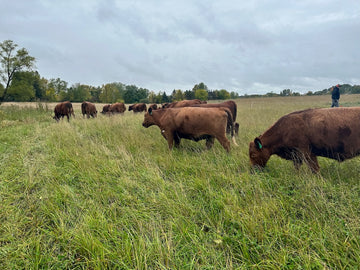 Badass Pastured Proteins™ | Rockford, MI – Rebel Pastures