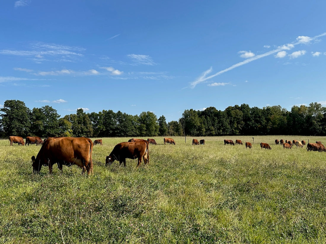 Badass Pastured Proteins™ | Rockford, MI – Rebel Pastures